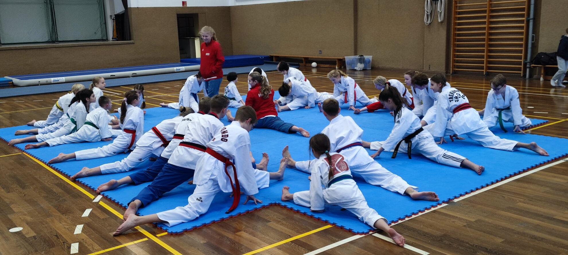 Sichtungslehrgang Young Stars – TKD Bergstrasse